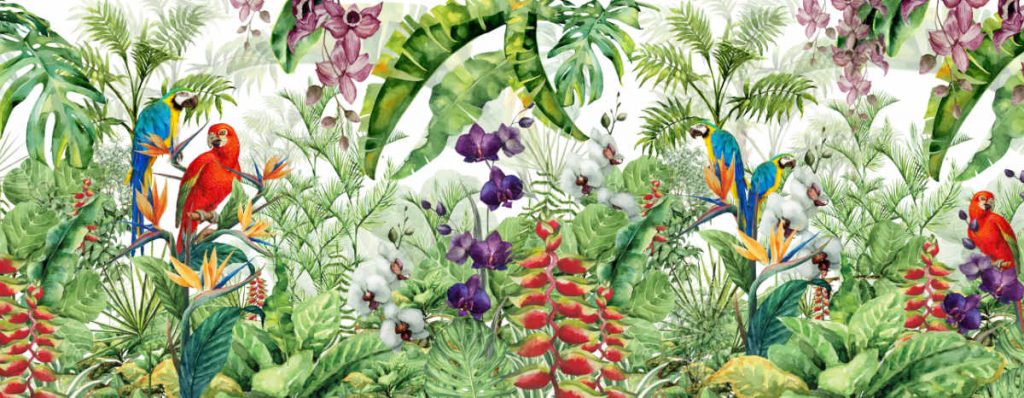 Yugen Tropical Collection - IKIGAI